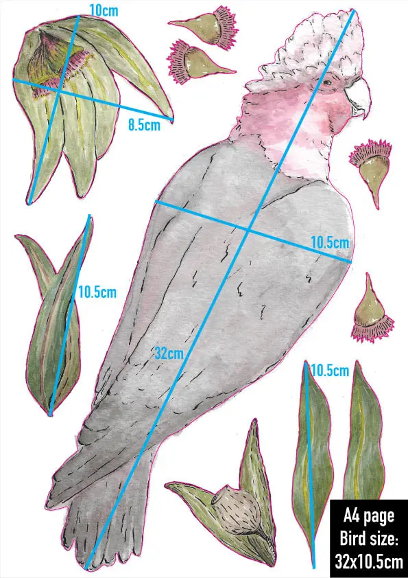 Galah Wall Decals Print Products | The Print Company